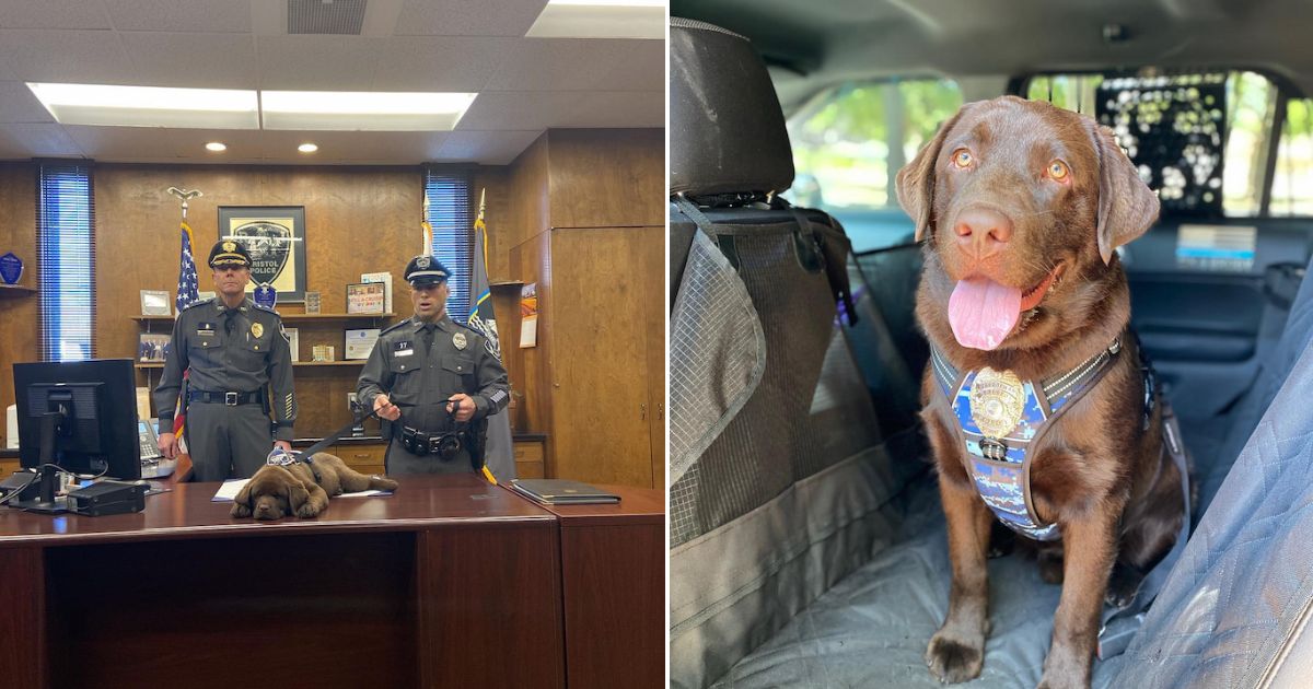 K-9 Puppy Dozes Off During His Official Swearing Ceremony